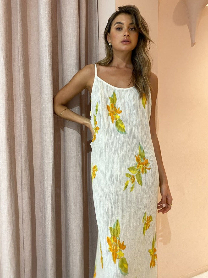 Savannah Morrow Andria Dress in Emilia – Coco & Lola